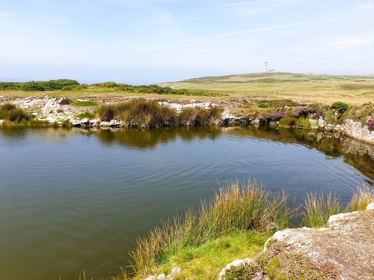 Lundy Island Day Trip: Everything You Need to Know