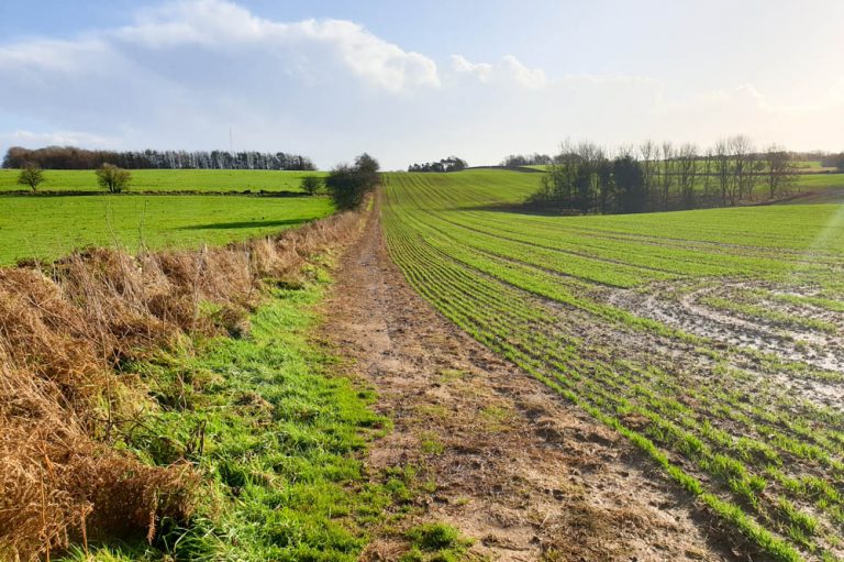 Bath walks: Best strolls in and hikes around Bath
