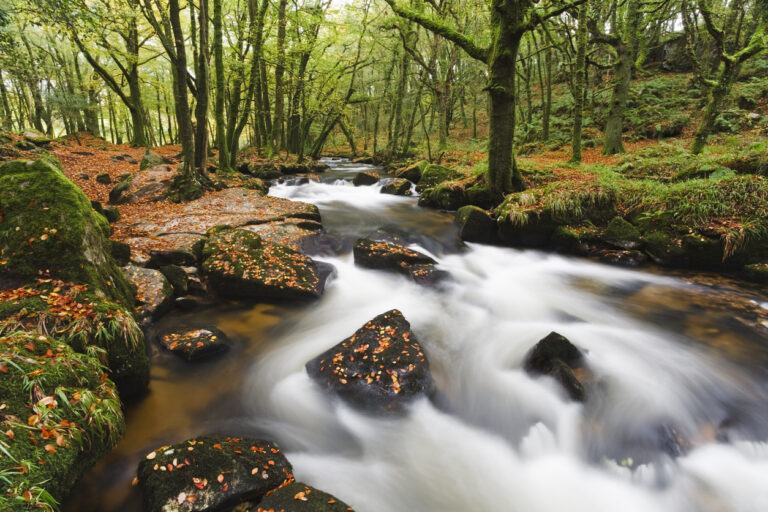 Discover the 10 best waterfalls in Cornwall