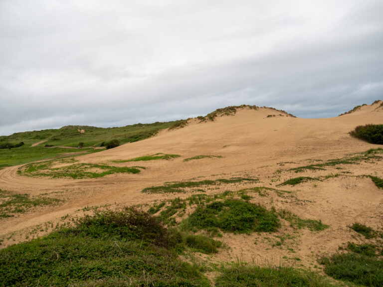 35 best things to do in North Devon (for all ages!)