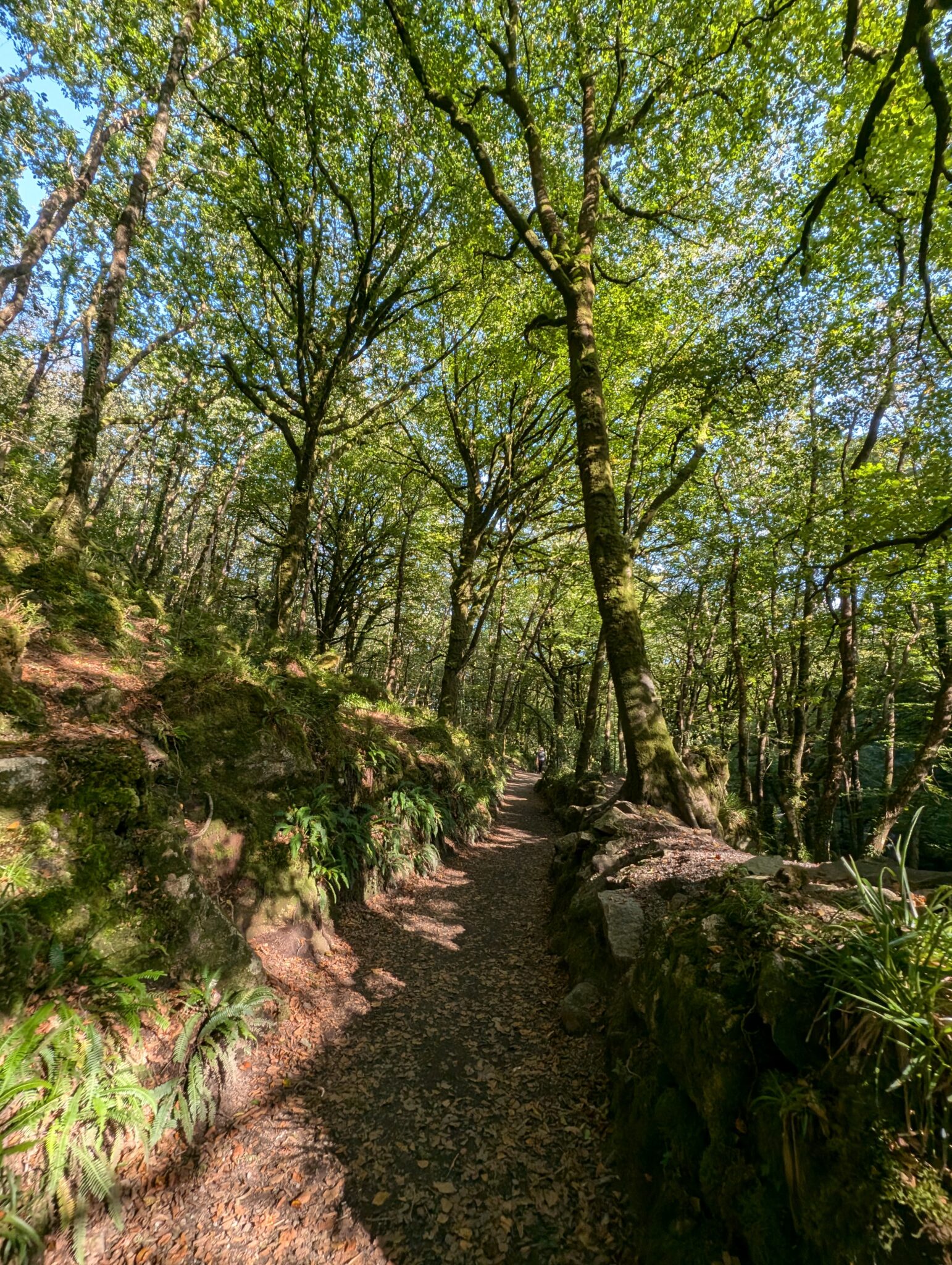 Cornwall's enchanting free-to-visit waterfalls