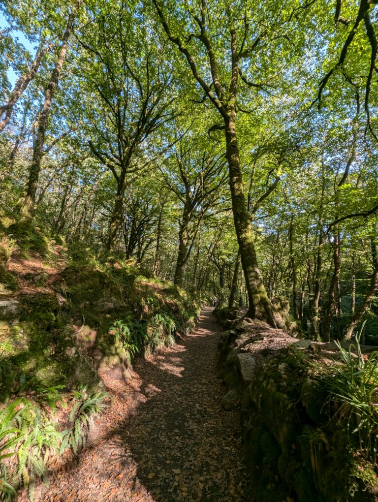 Cornwall's enchanting free-to-visit waterfalls