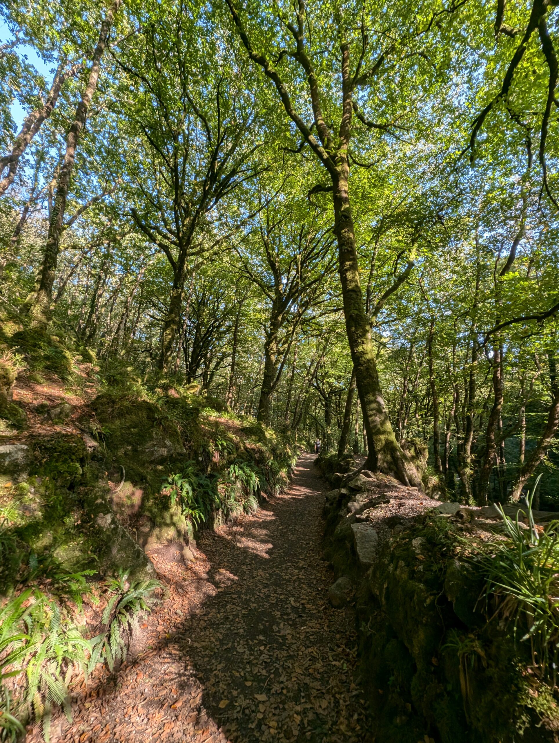 Cornwall's enchanting free-to-visit waterfalls