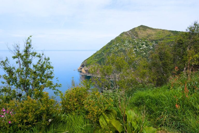 See the best of Exmoor with THIS itinerary