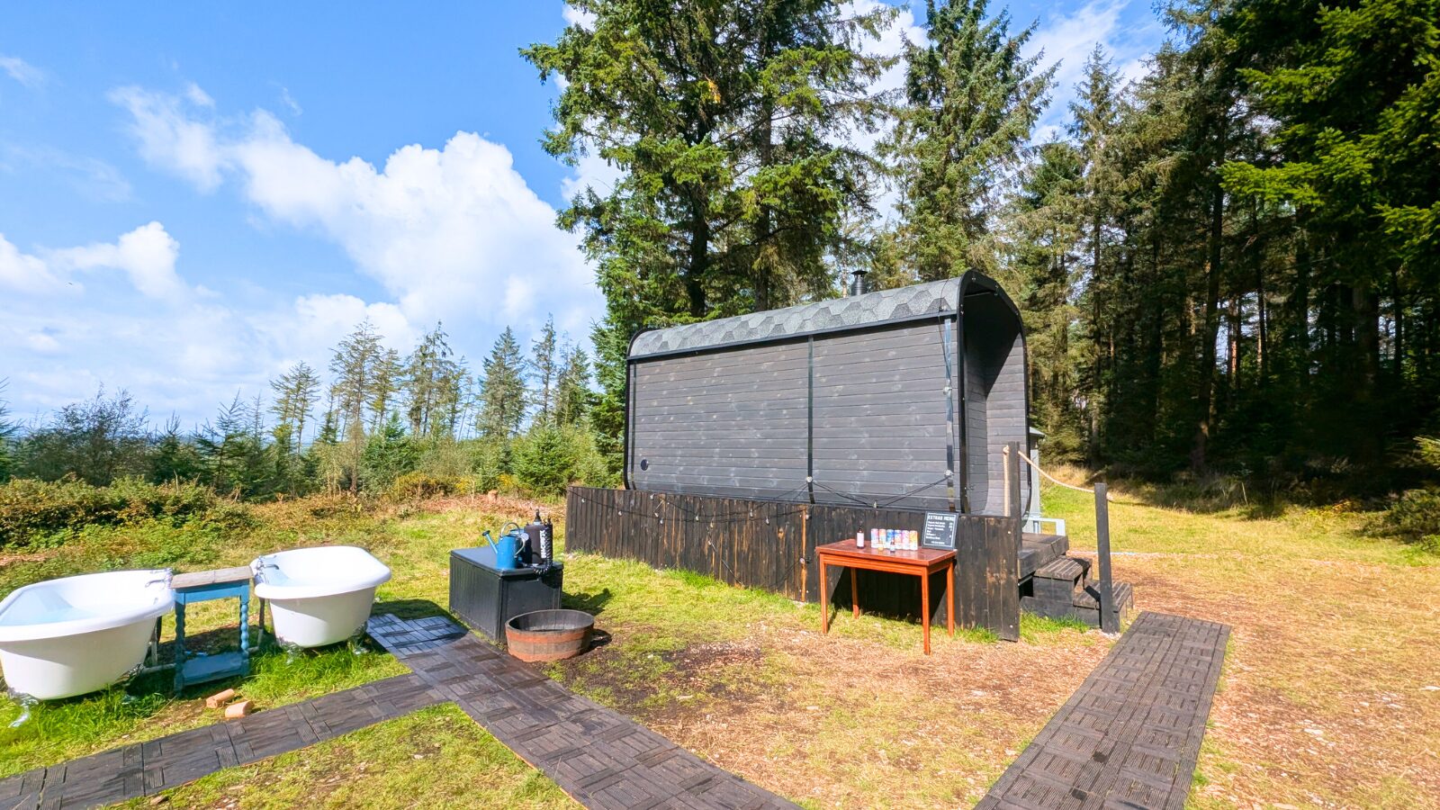 The Devon sauna in an enchanted-feeling woodland
